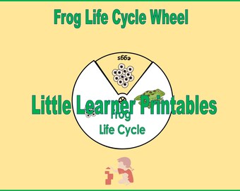 Frog Life Cycle Activity and Craft - Etsy