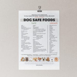 Dog Safe & Unsafe Food List: Printable Guide (digital Download) - Etsy