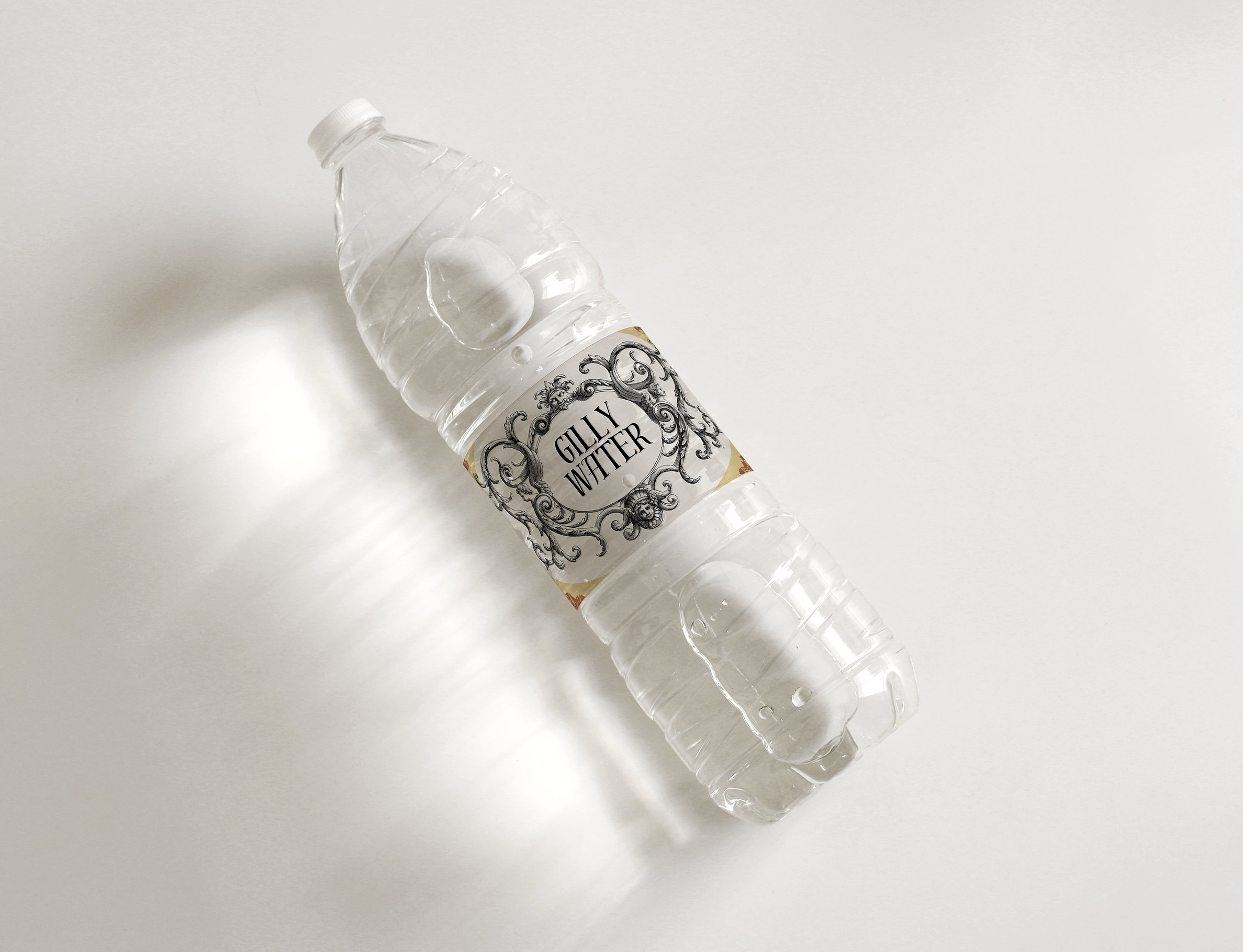 Printable Magic Water Bottle Labels Gilly Water Label Wizard - Etsy