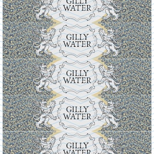 Printable Magic Water Bottle Labels, Gilly Water Label, Wizard Party ...