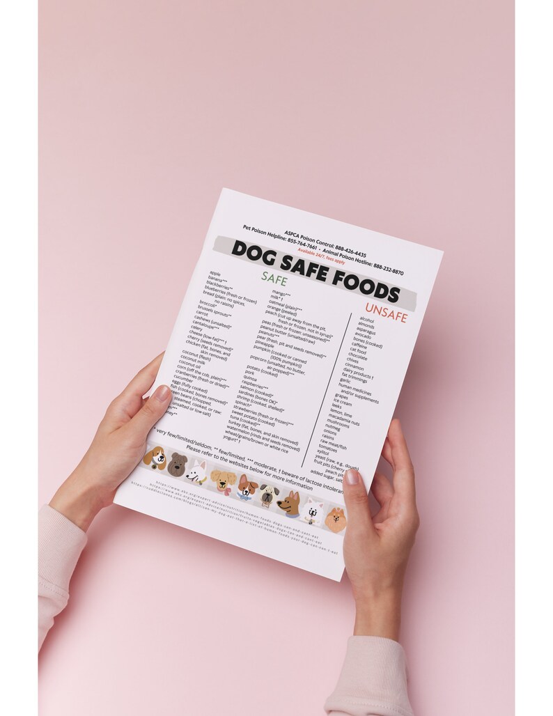 Dog Safe Food and Unsafe Food List, Safe Foods for Dogs, Unsafe Foods ...