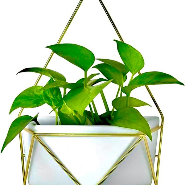 Geometric Wall Planters - Etsy