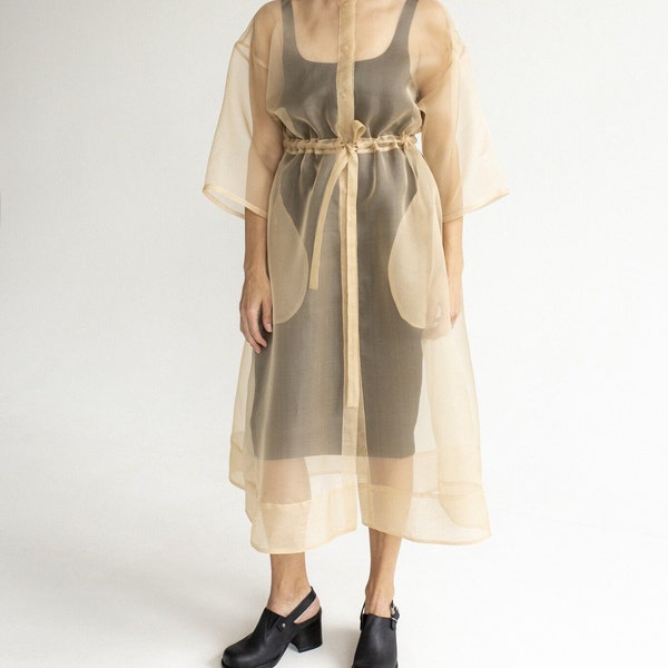 Transparent Dress - Etsy