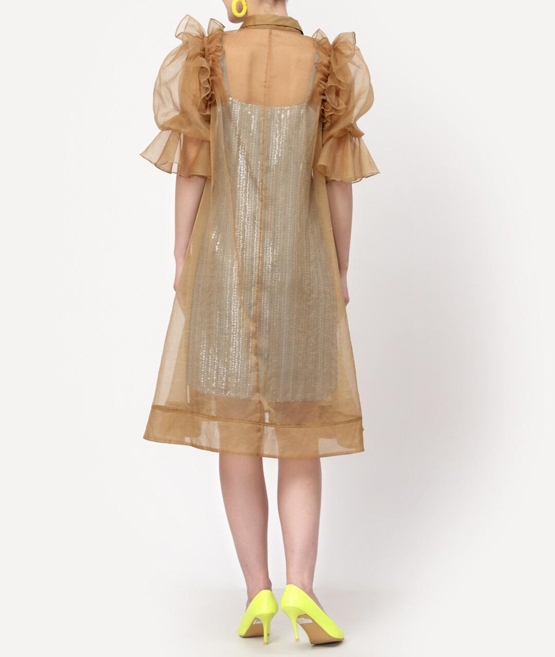 Sheer Organza Trench Coat: Transparent Overlay Jacket - Etsy