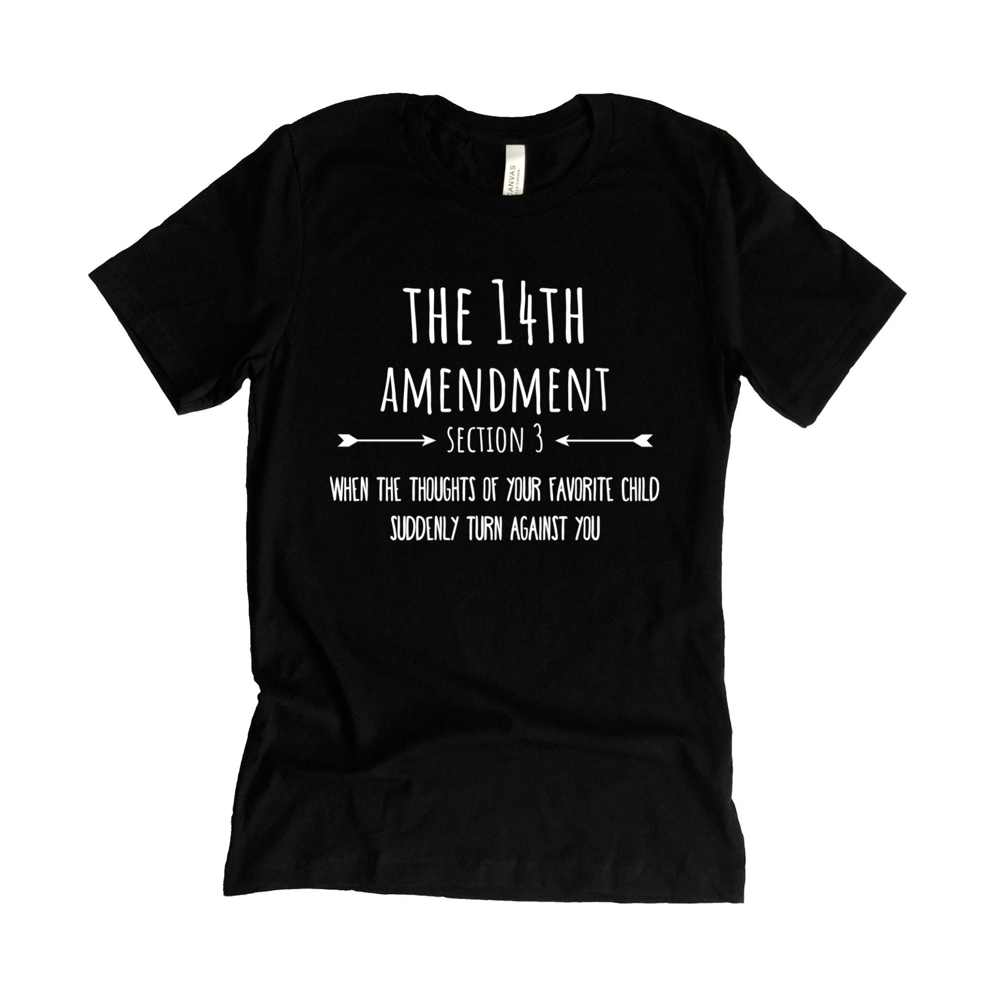 14th Amendment T-shirt, 14th Amendment Section 3, Political Unisex ...