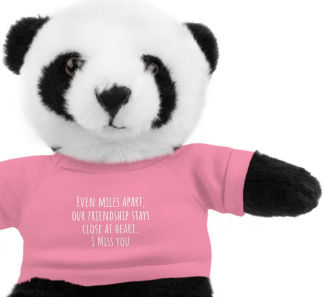 Long-distance Friendship Gifts, Plush Toy for a Friend, I Miss You ...