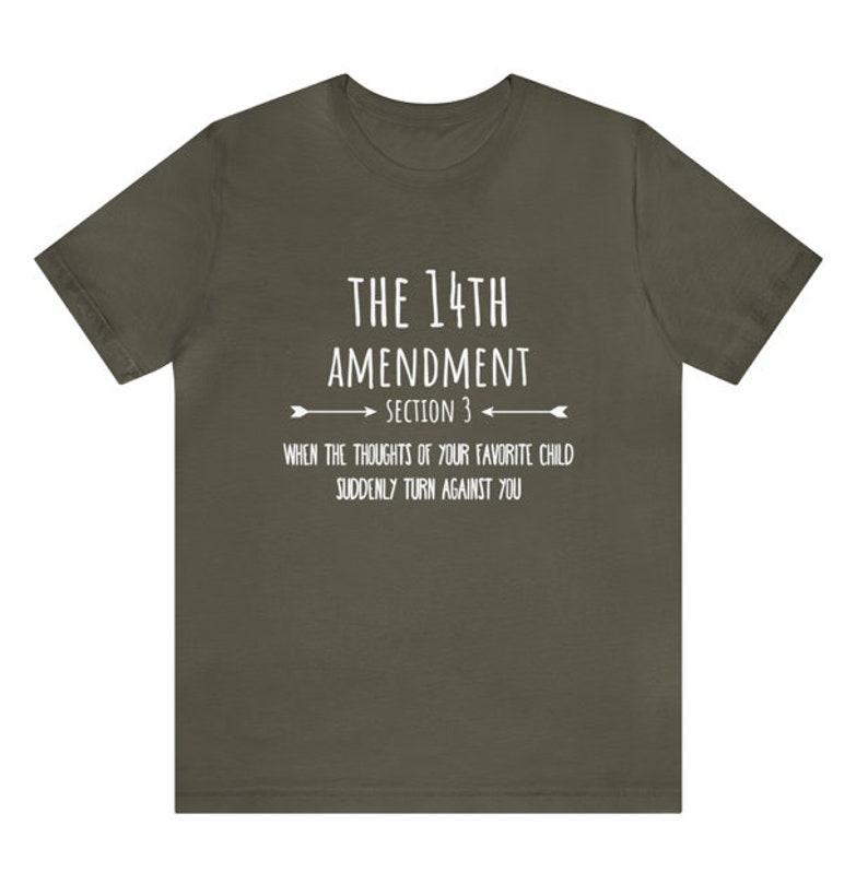 14th Amendment T-shirt, 14th Amendment Section 3, Political Unisex ...