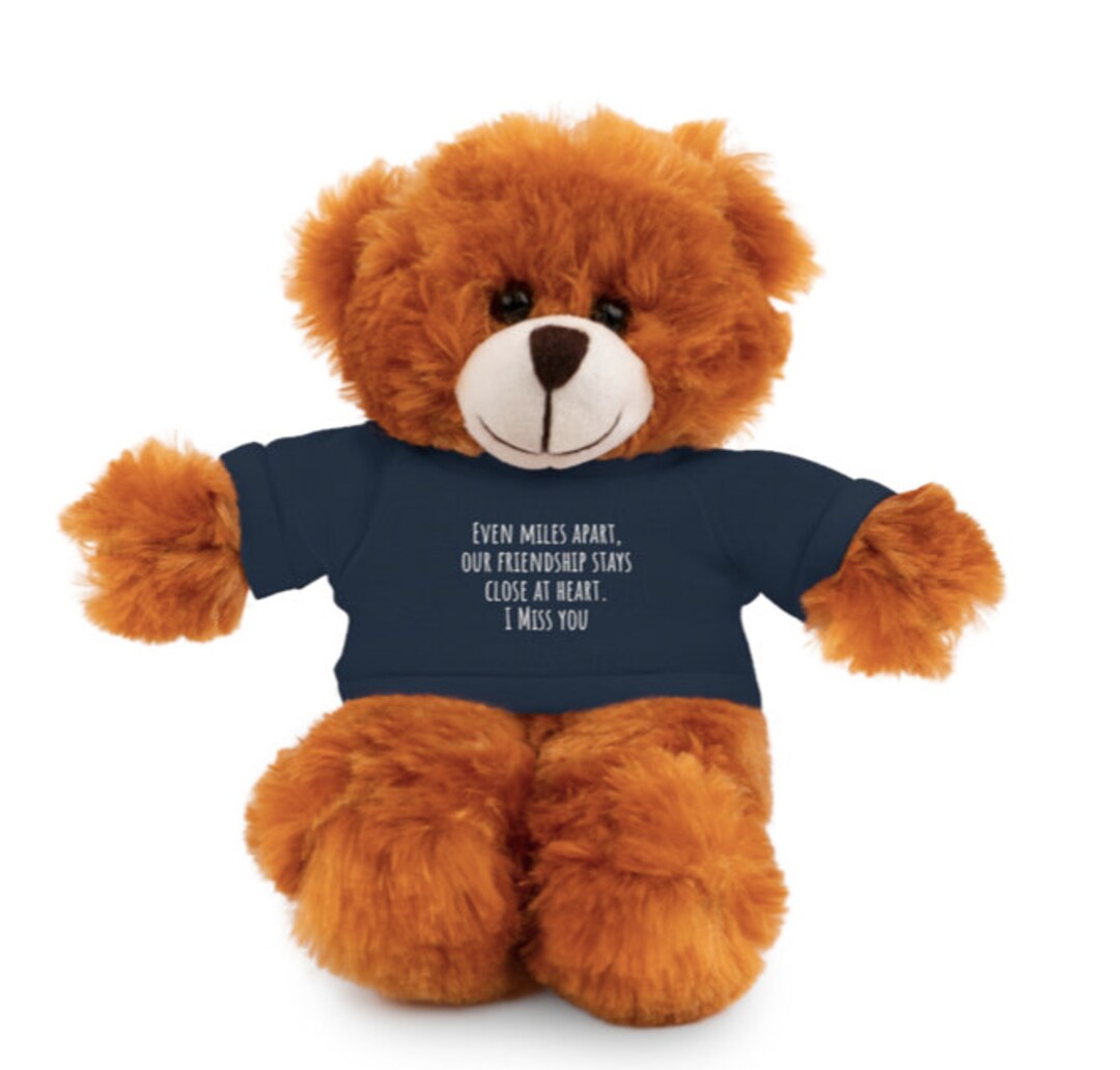 Long-distance Friendship Gifts, Plush Toy for a Friend, I Miss You ...