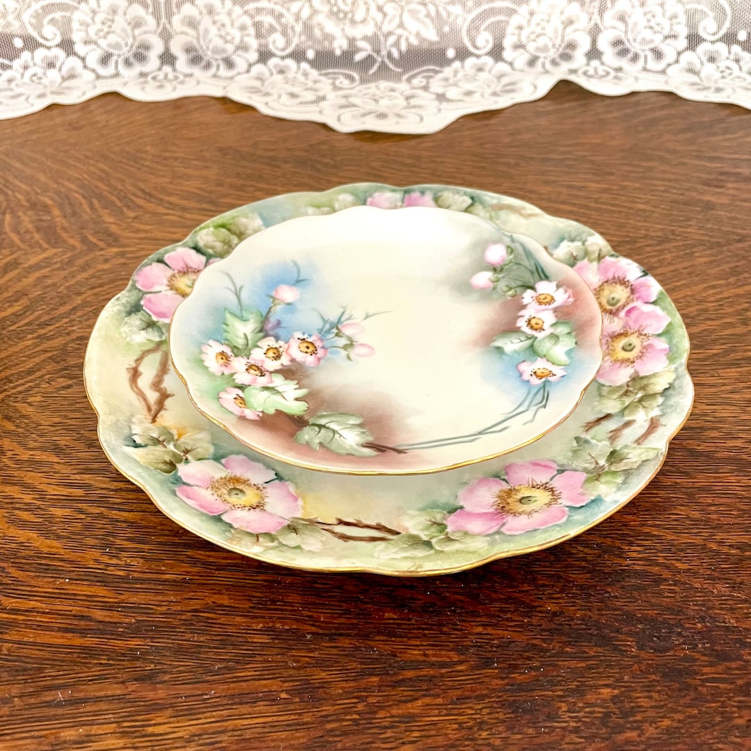 Antique Porcelain Hand Painted Plates - Etsy