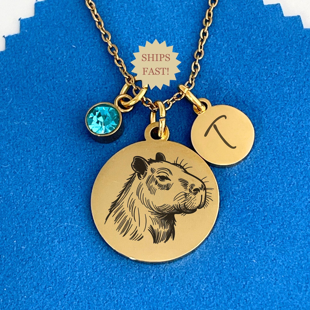 Capybara Necklace Personalized With Birthstone and Initial, Capybara ...