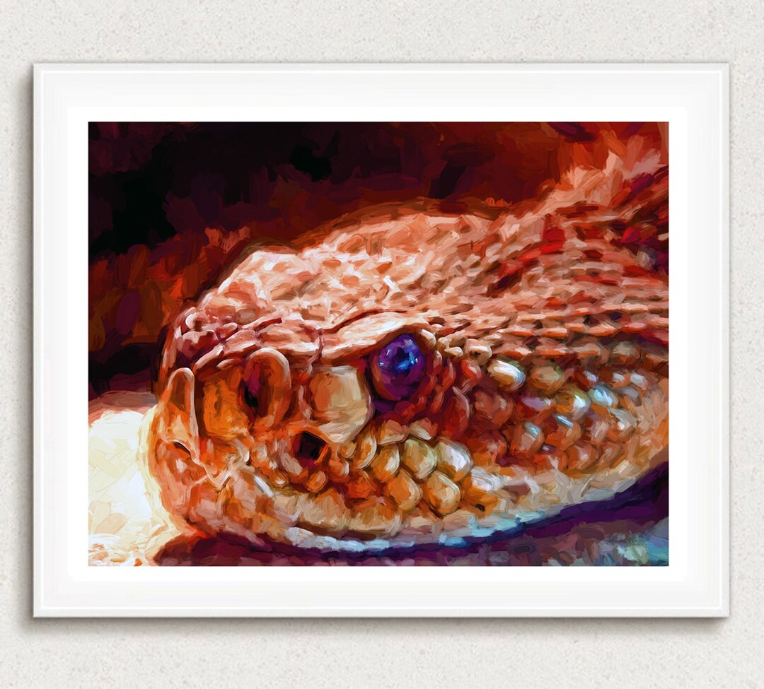 Rattlesnake Print, Snake Art, Snake Decor, Animal Print, Animal Art ...