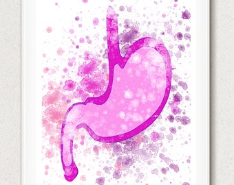 Stomach Art Decor - Etsy