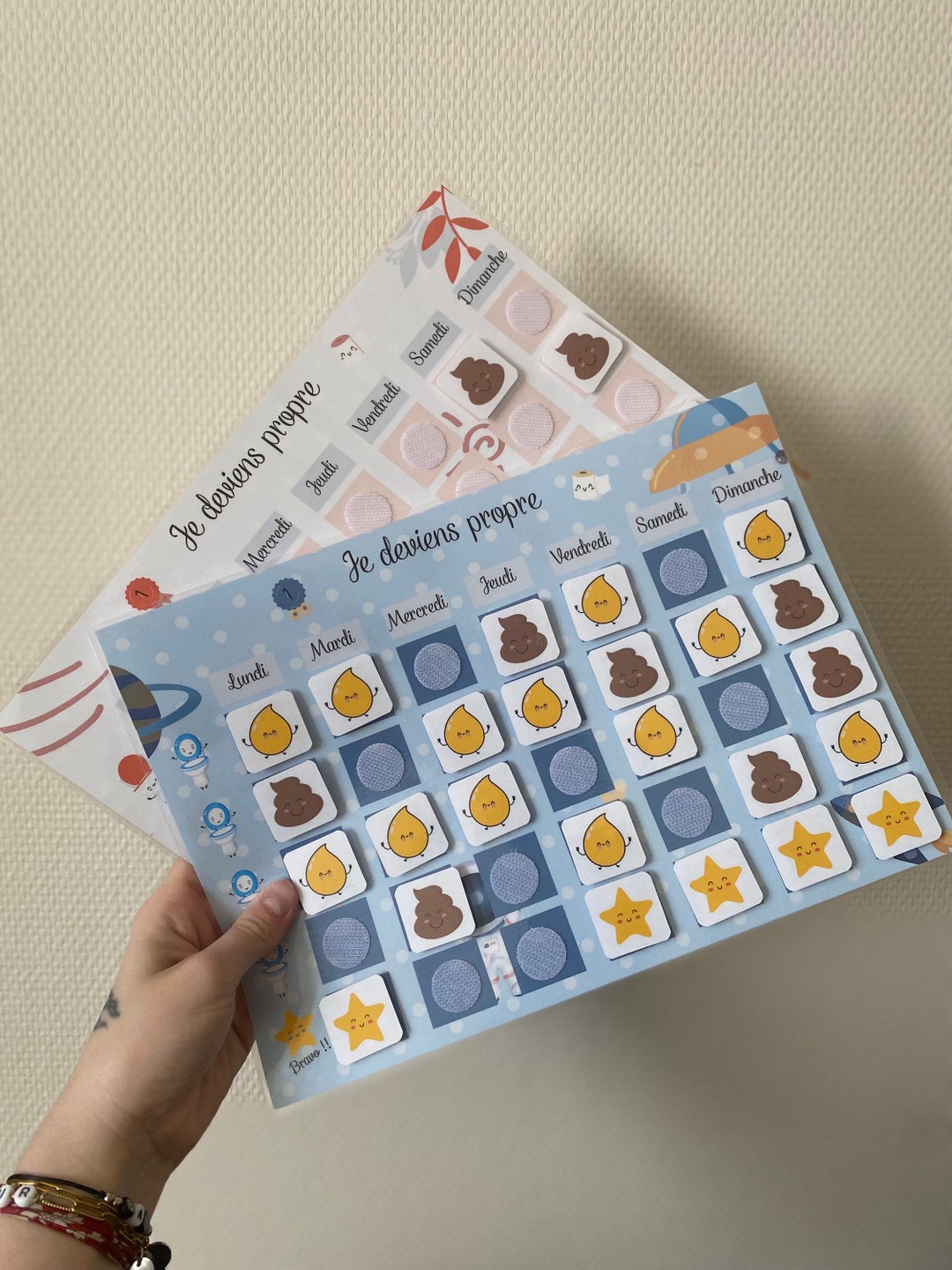 Cleanliness Training Chart - Etsy