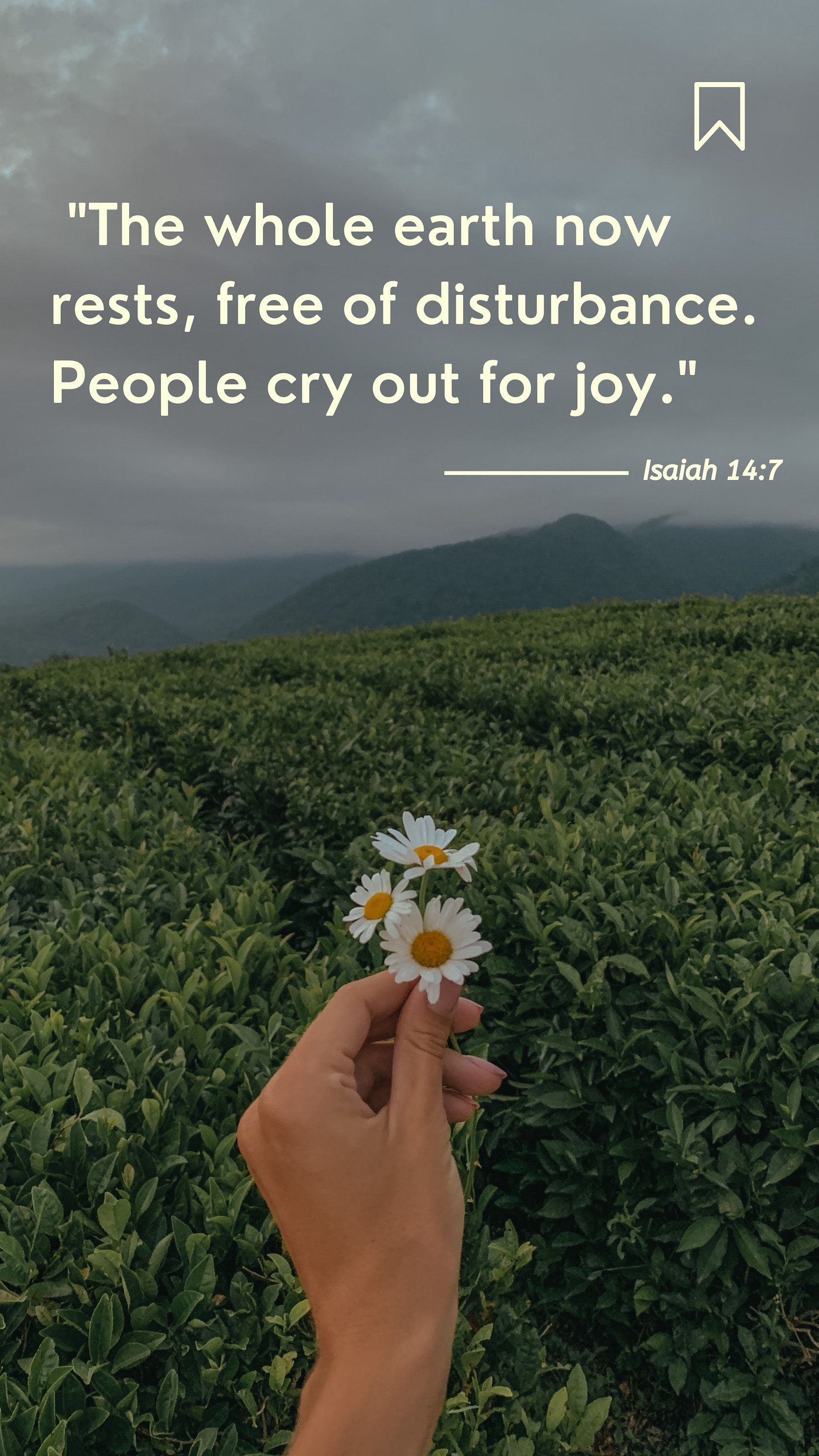 Paradise Scripture JW Wallpaper - Etsy