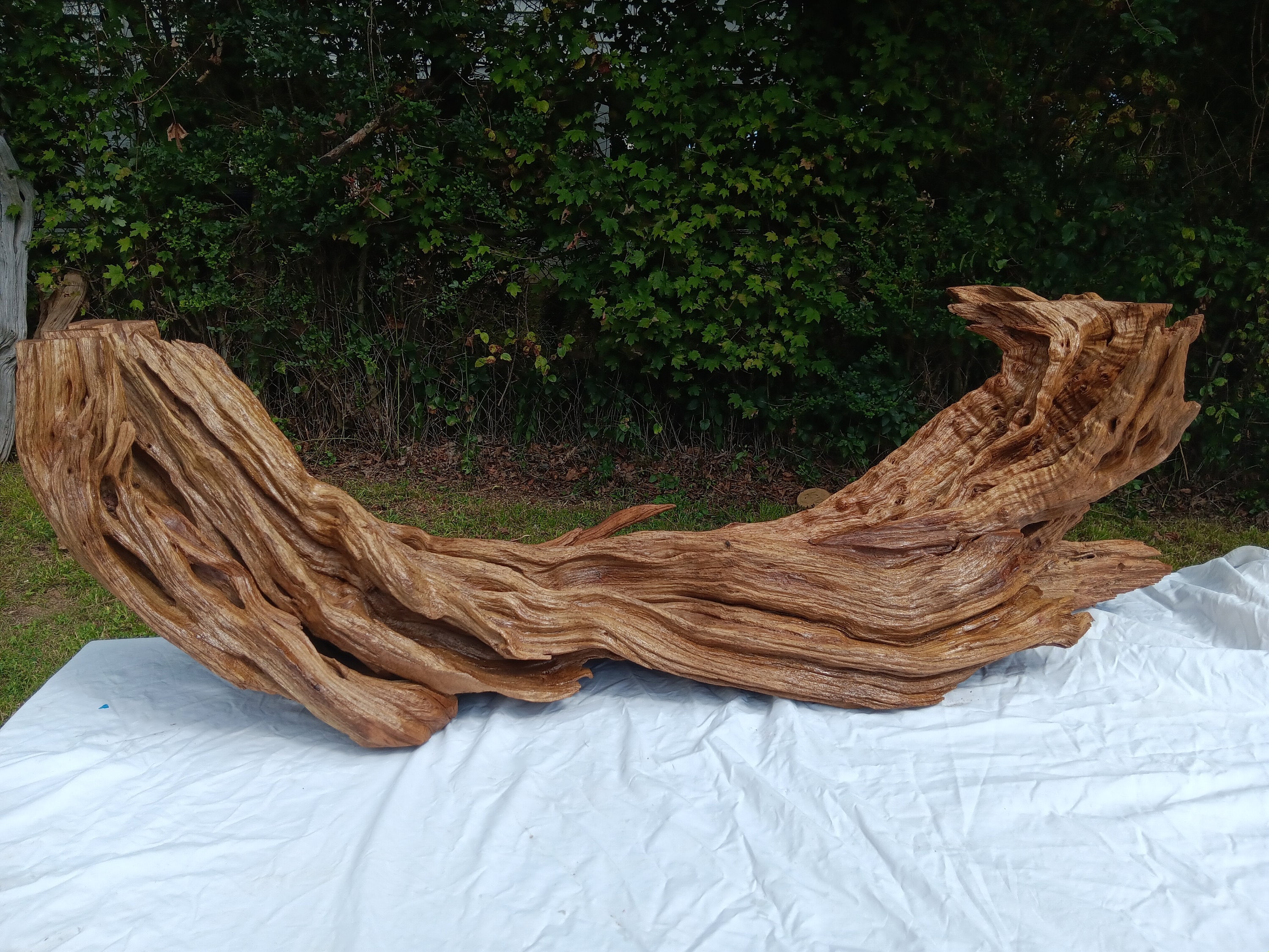 Mahogany Root Driftwood Coffee Table - Etsy