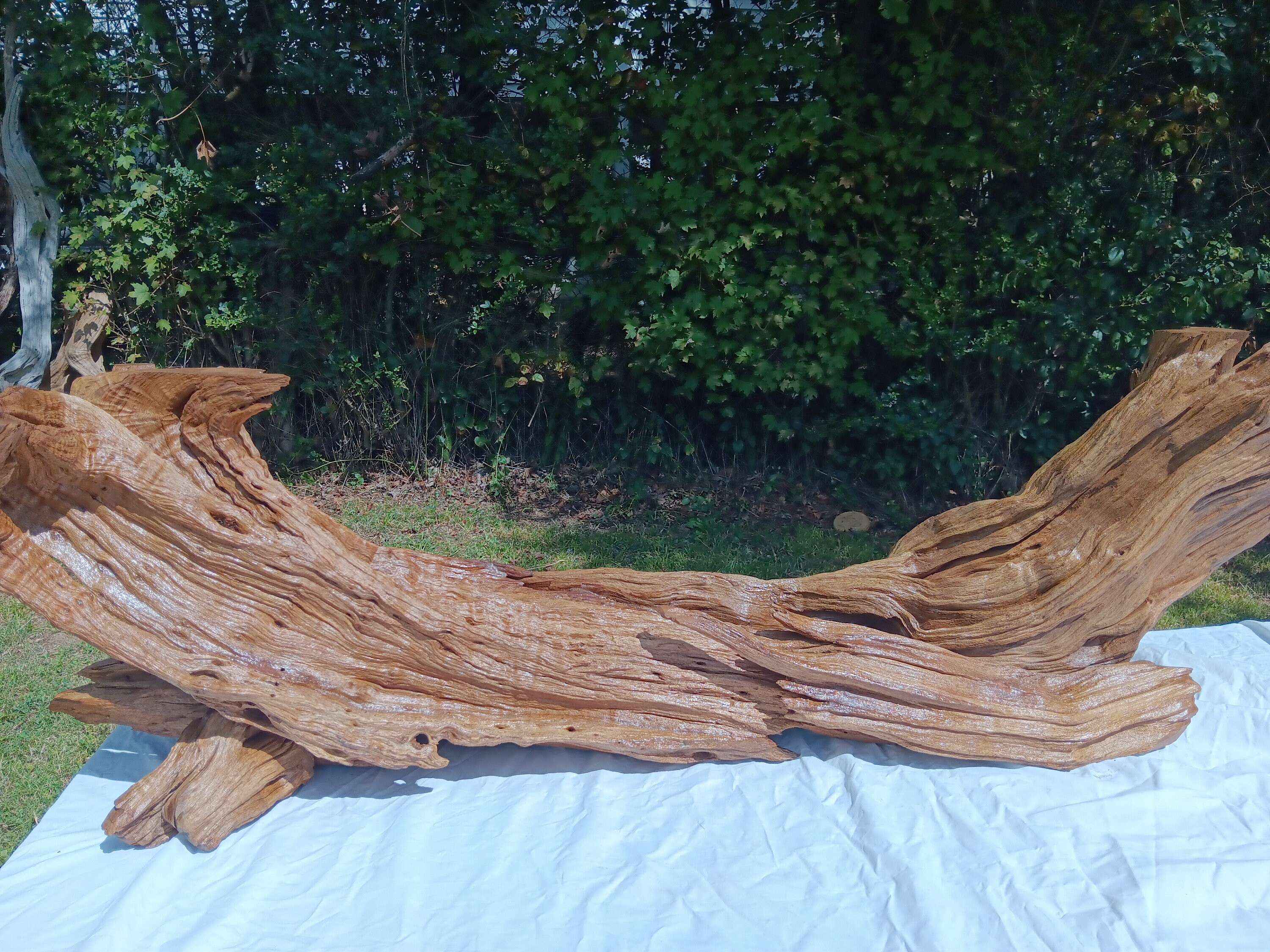 Mahogany Root Driftwood Coffee Table - Etsy