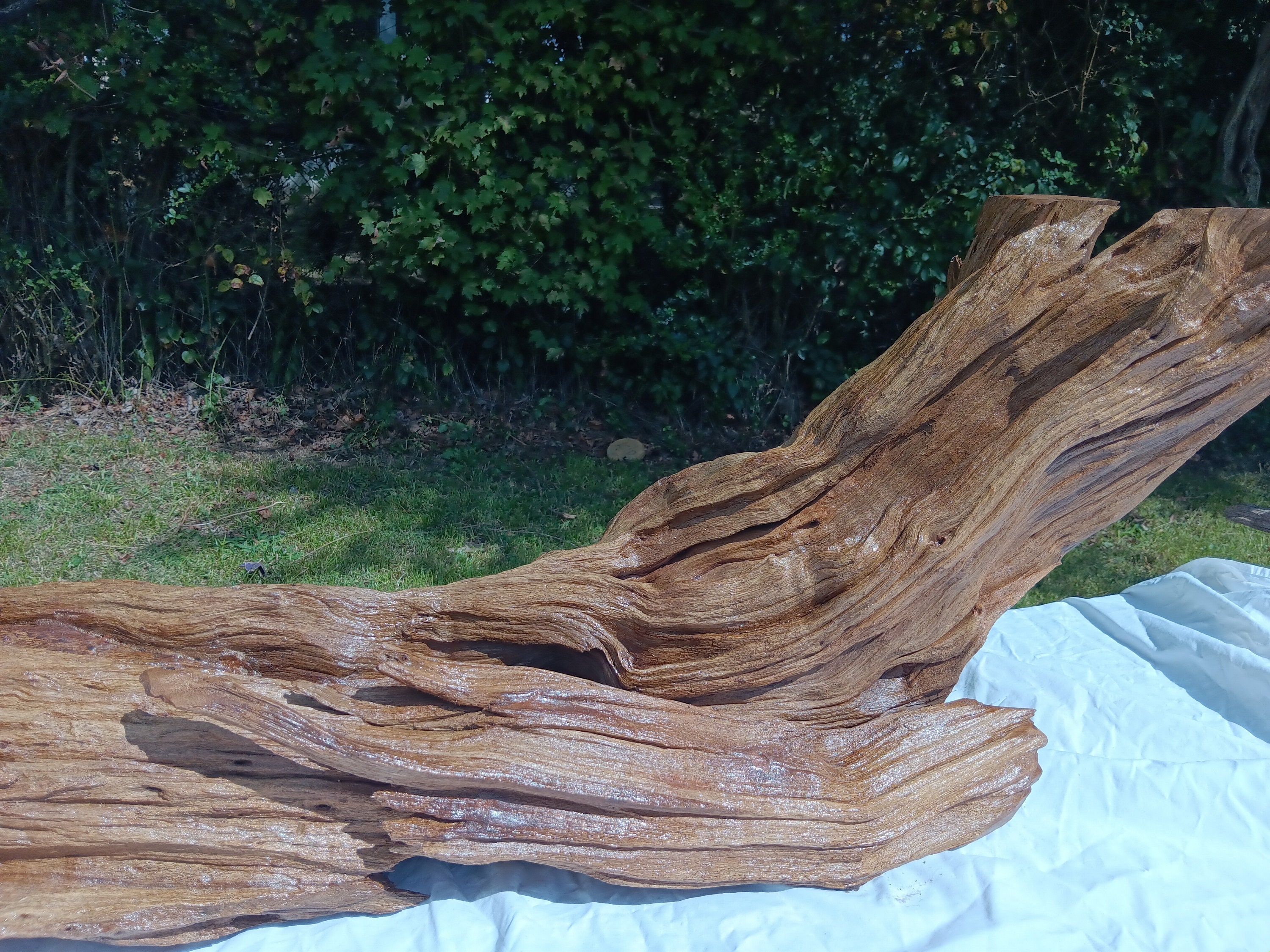 Mahogany Root Driftwood Coffee Table - Etsy