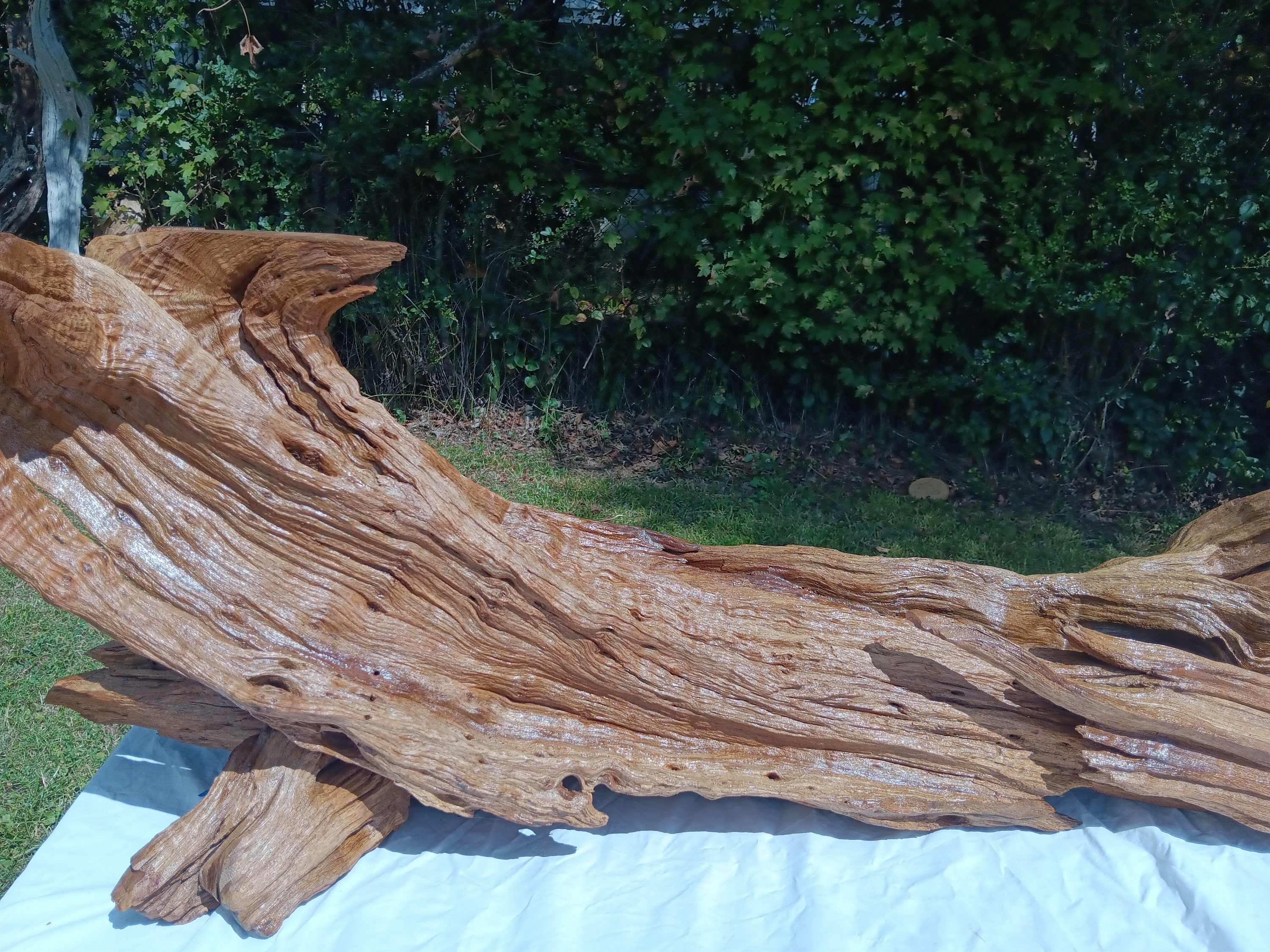Mahogany Root Driftwood Coffee Table - Etsy