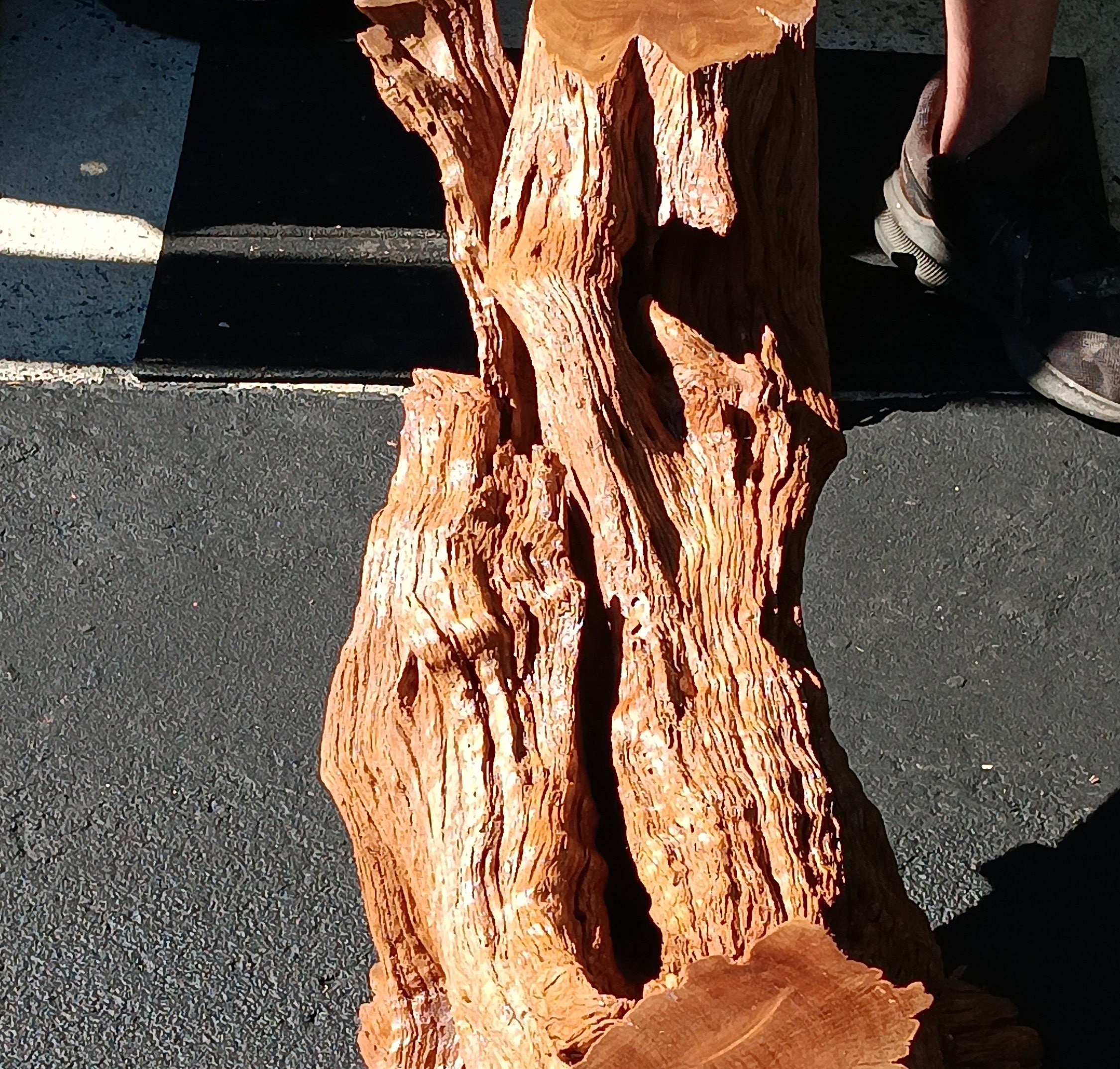 Oval Mahogany Root Driftwood Coffee Table - Etsy
