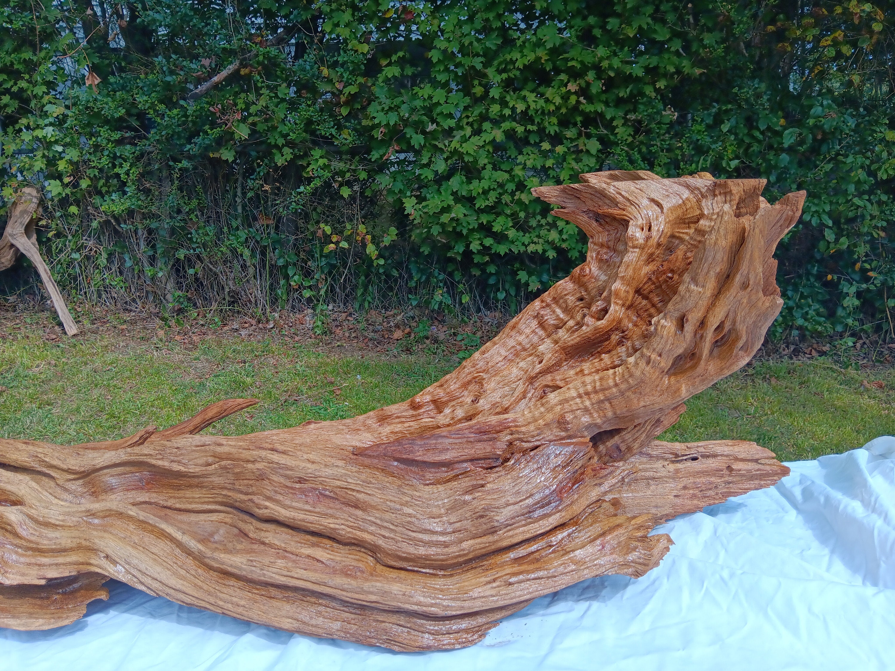 Mahogany Root Driftwood Coffee Table - Etsy