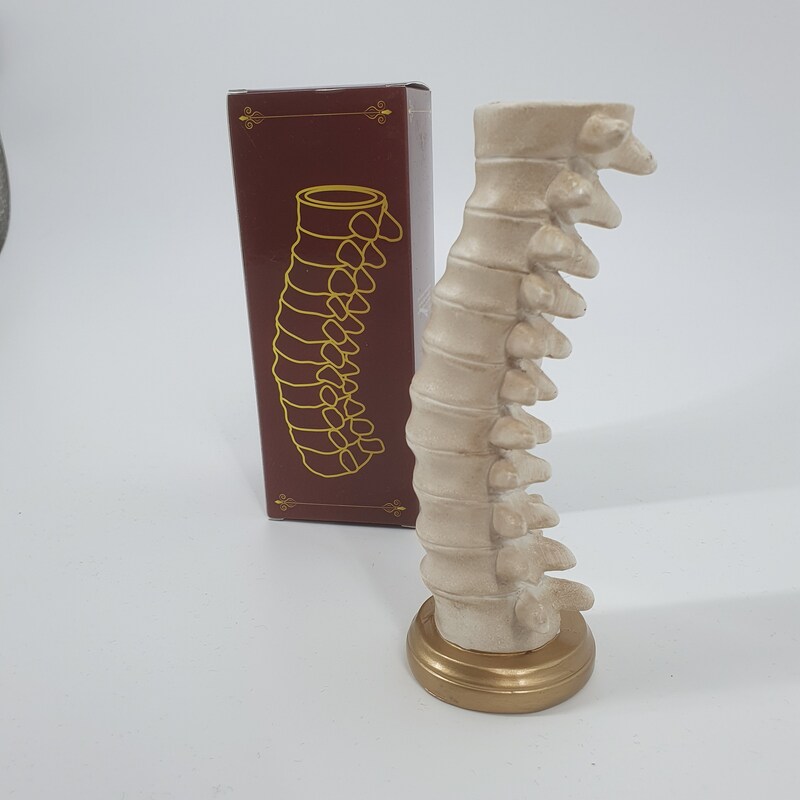 Spine Candle Molds - Etsy