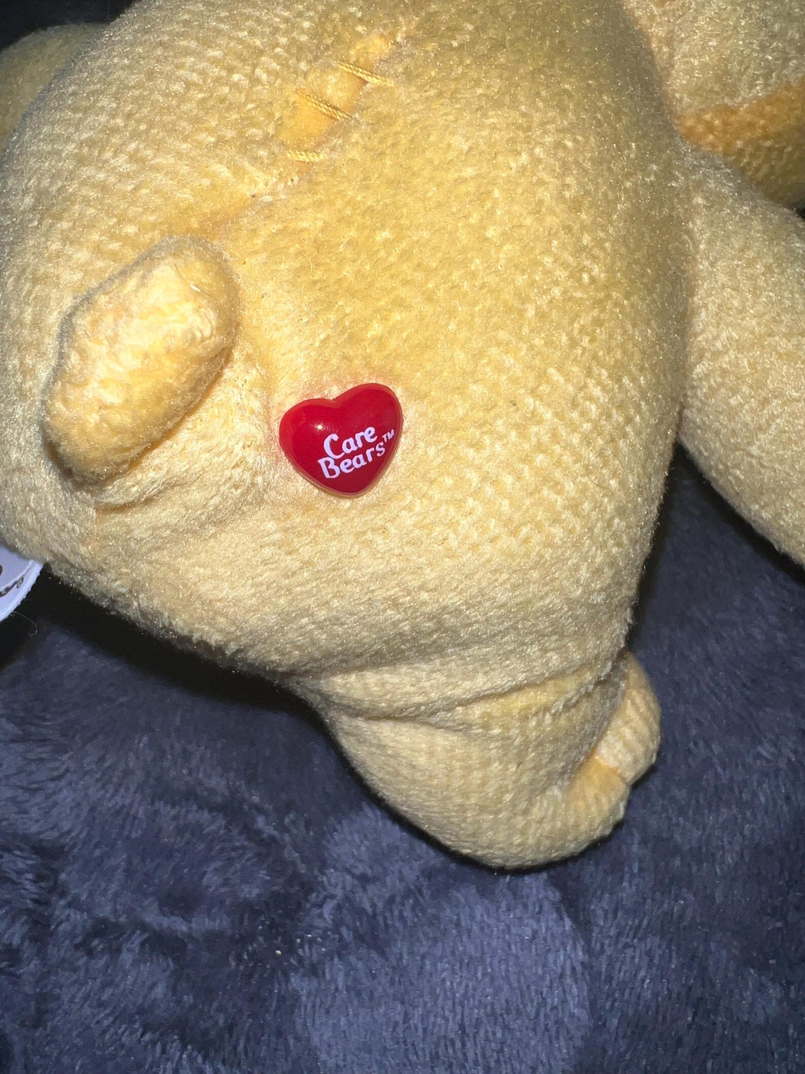 Care Bears Fun in Sun Harmony & Funshine Bear 6” Plush Kellytoy 2013 ...