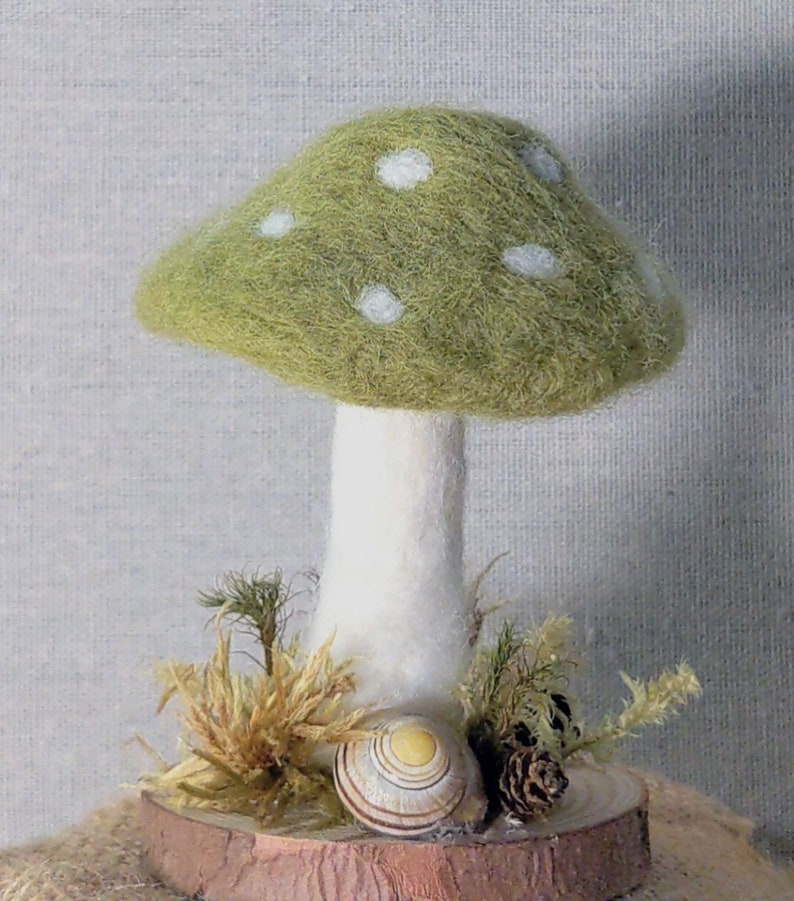 Needle Felted Mushroom - Etsy