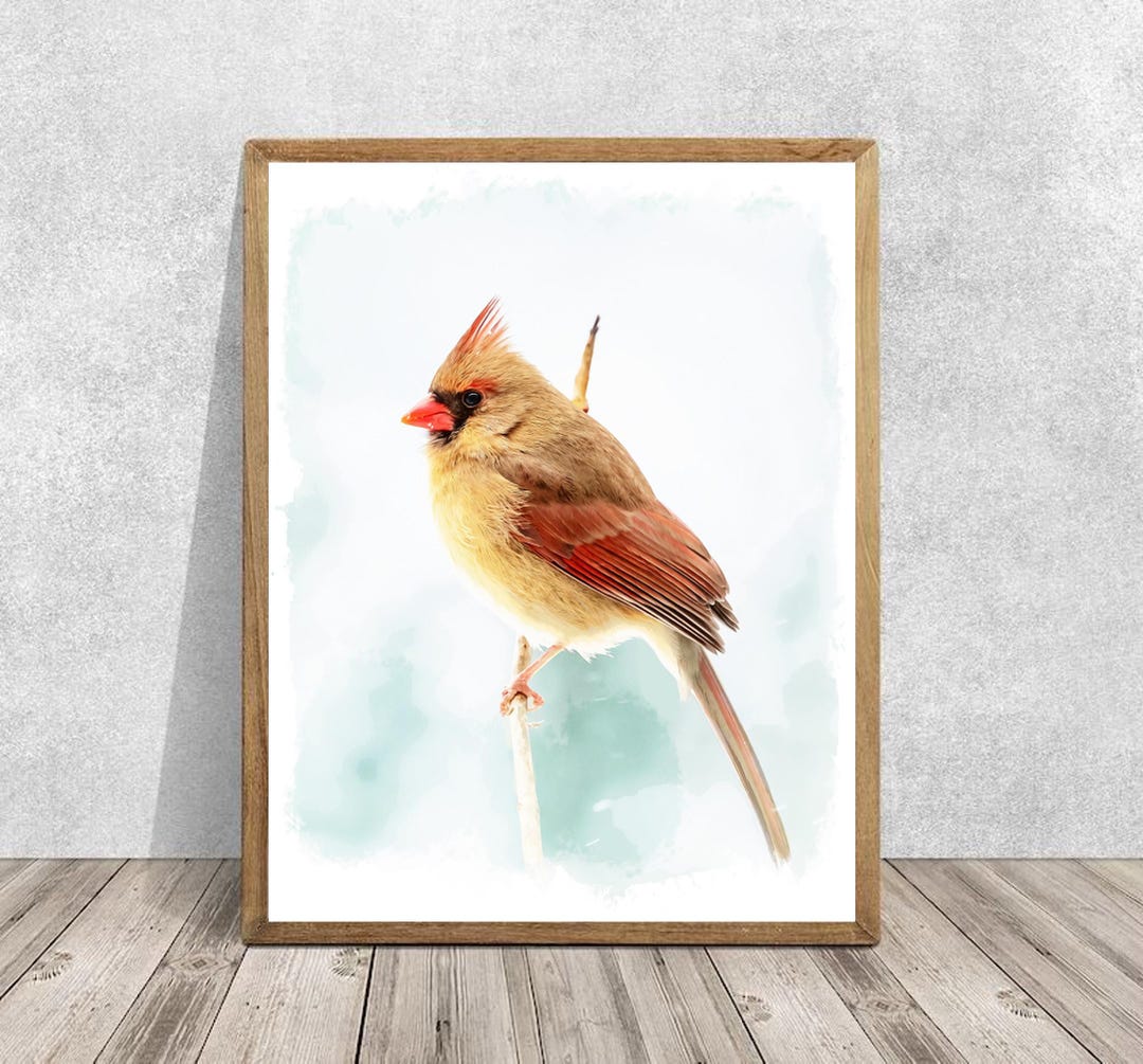 Watercolor Red Cardinal Print, Farmhouse Art Print, Red Cardinal Art ...