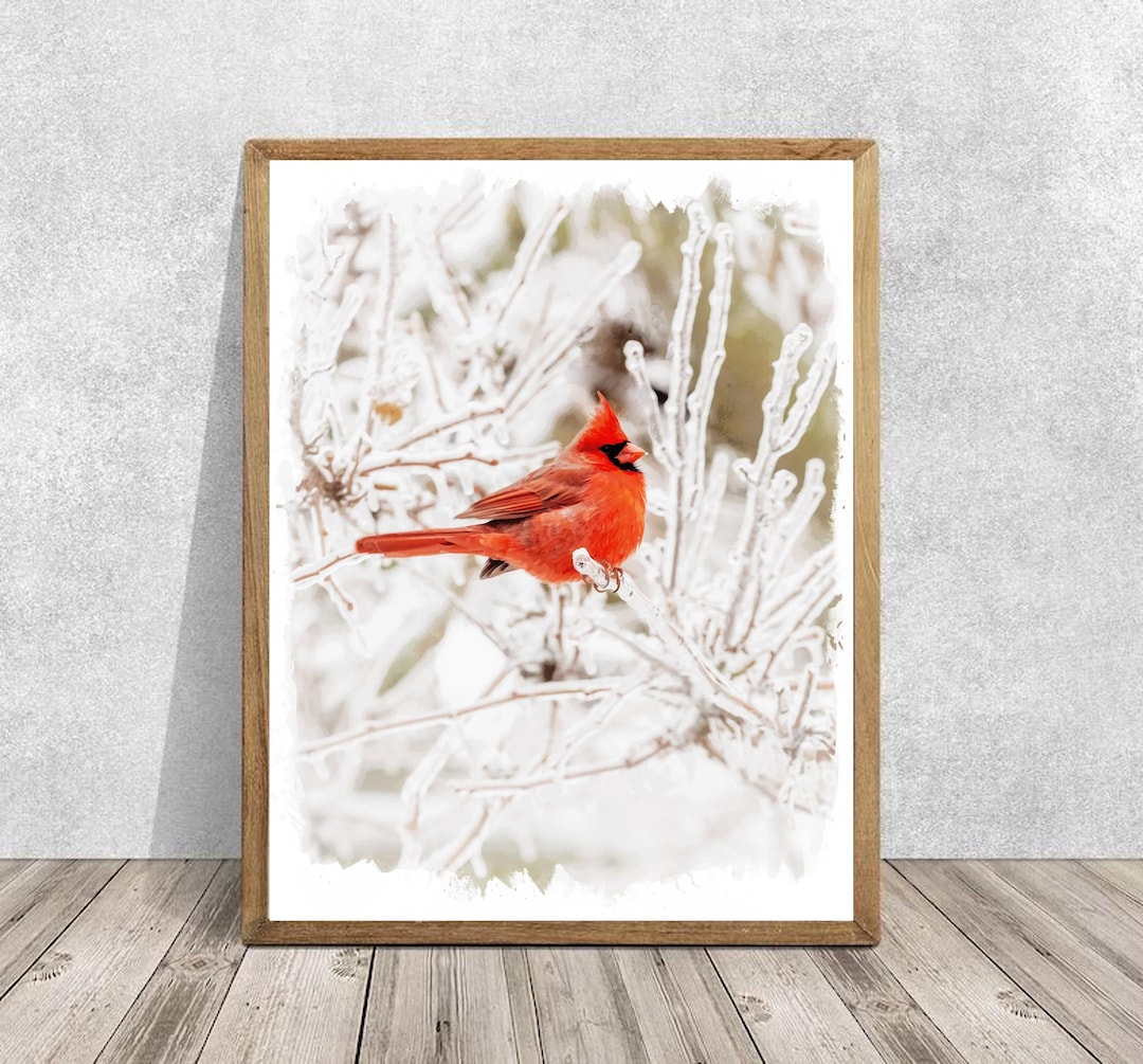 Watercolor Red Cardinal Print, Bird Art Print, Printable Red Cardinal ...