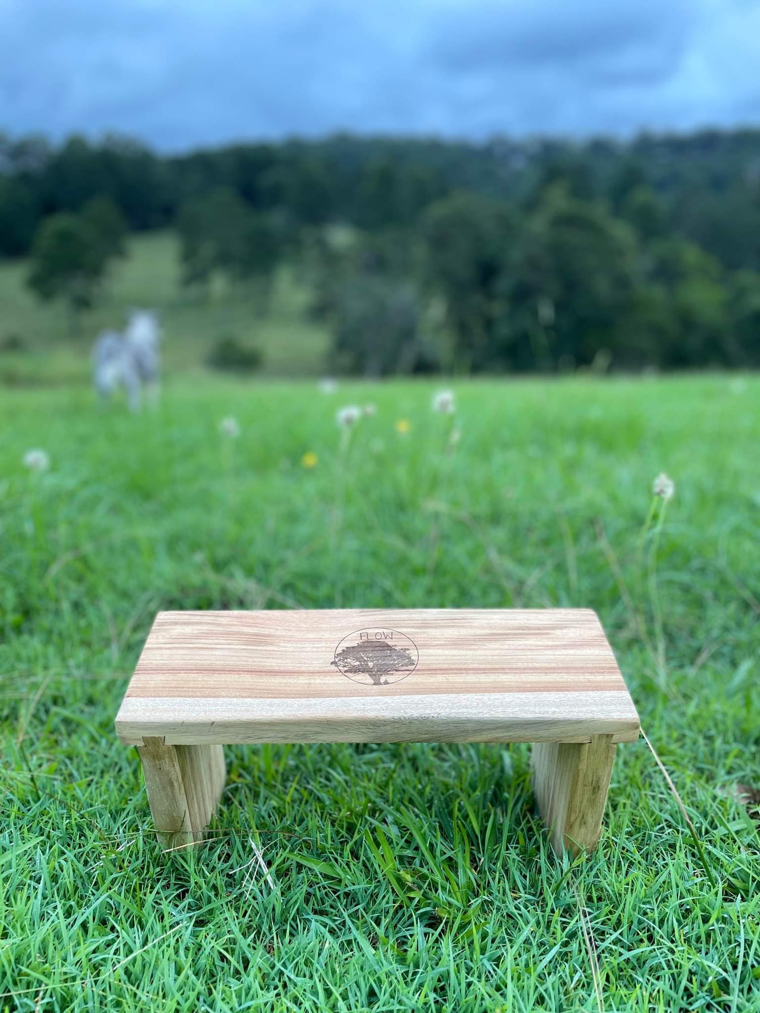 Posture & Meditation Stool - Etsy