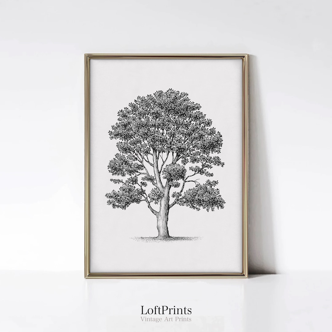 Minimalist Tree Drawing Farmhouse Art Vintage Cottage - Etsy