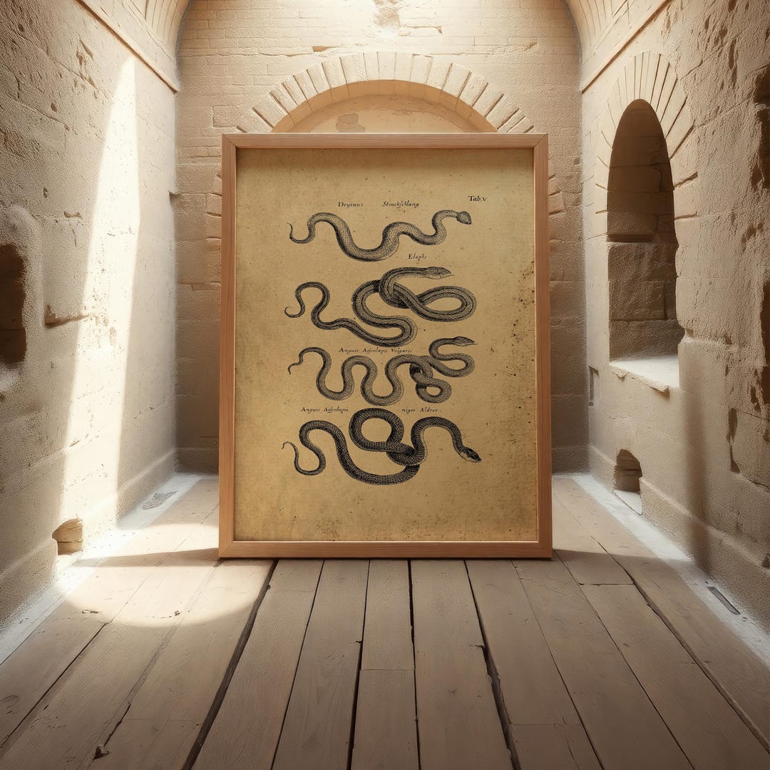 Vintage Snake Print: Gothic Wall Art, Dark Academia Decor - Etsy