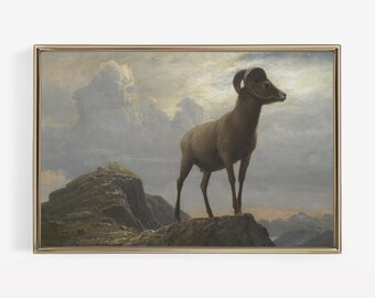 Antique Ram Painting - Etsy