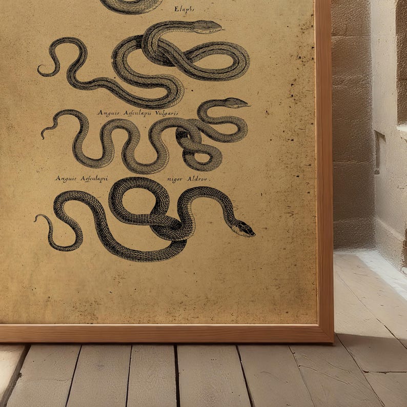 Vintage Snake Print: Gothic Wall Art, Dark Academia Decor - Etsy