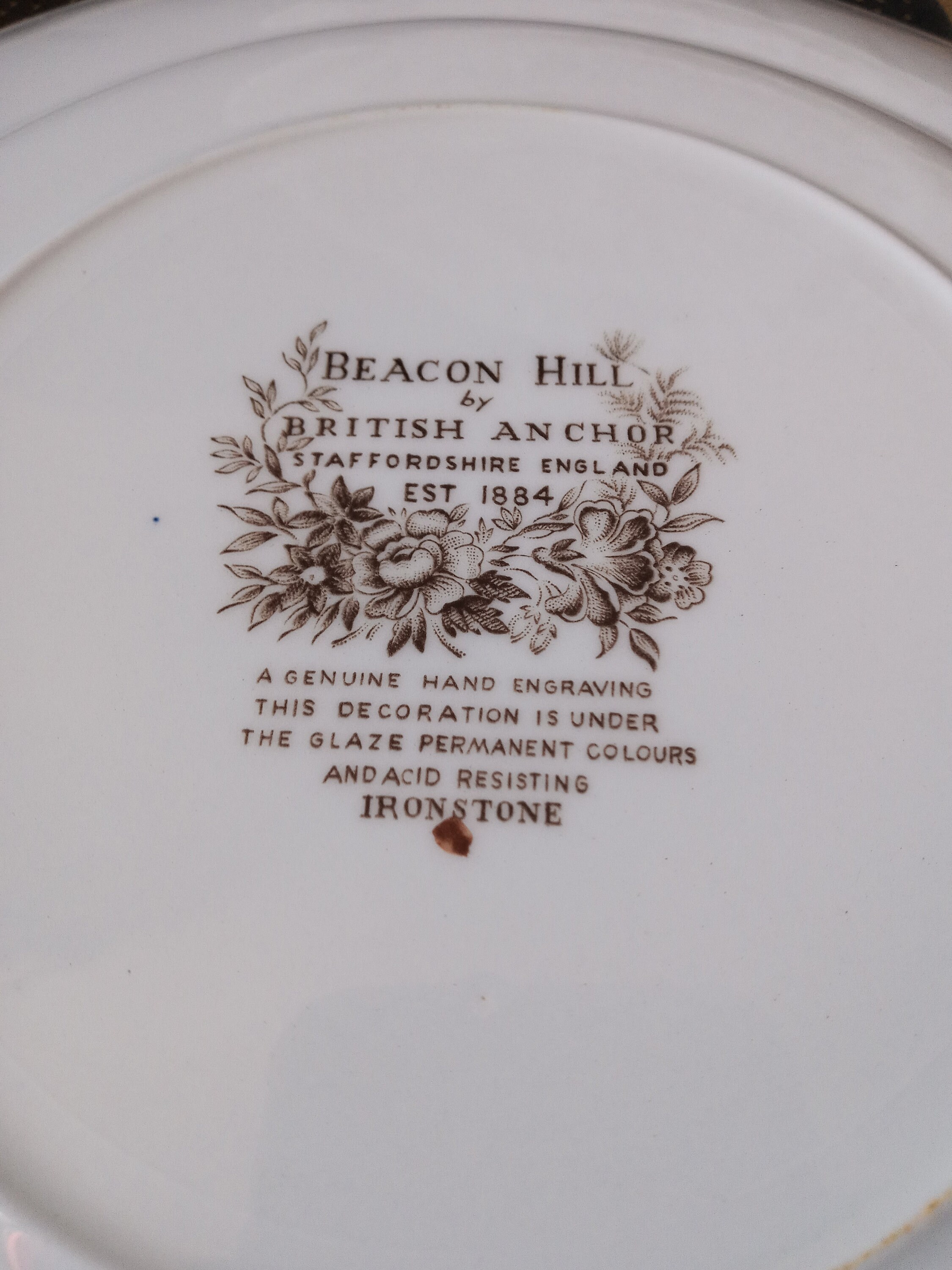 Vintage British Anchor Pottery Plates, beacon Hill Brown Multicolor ...