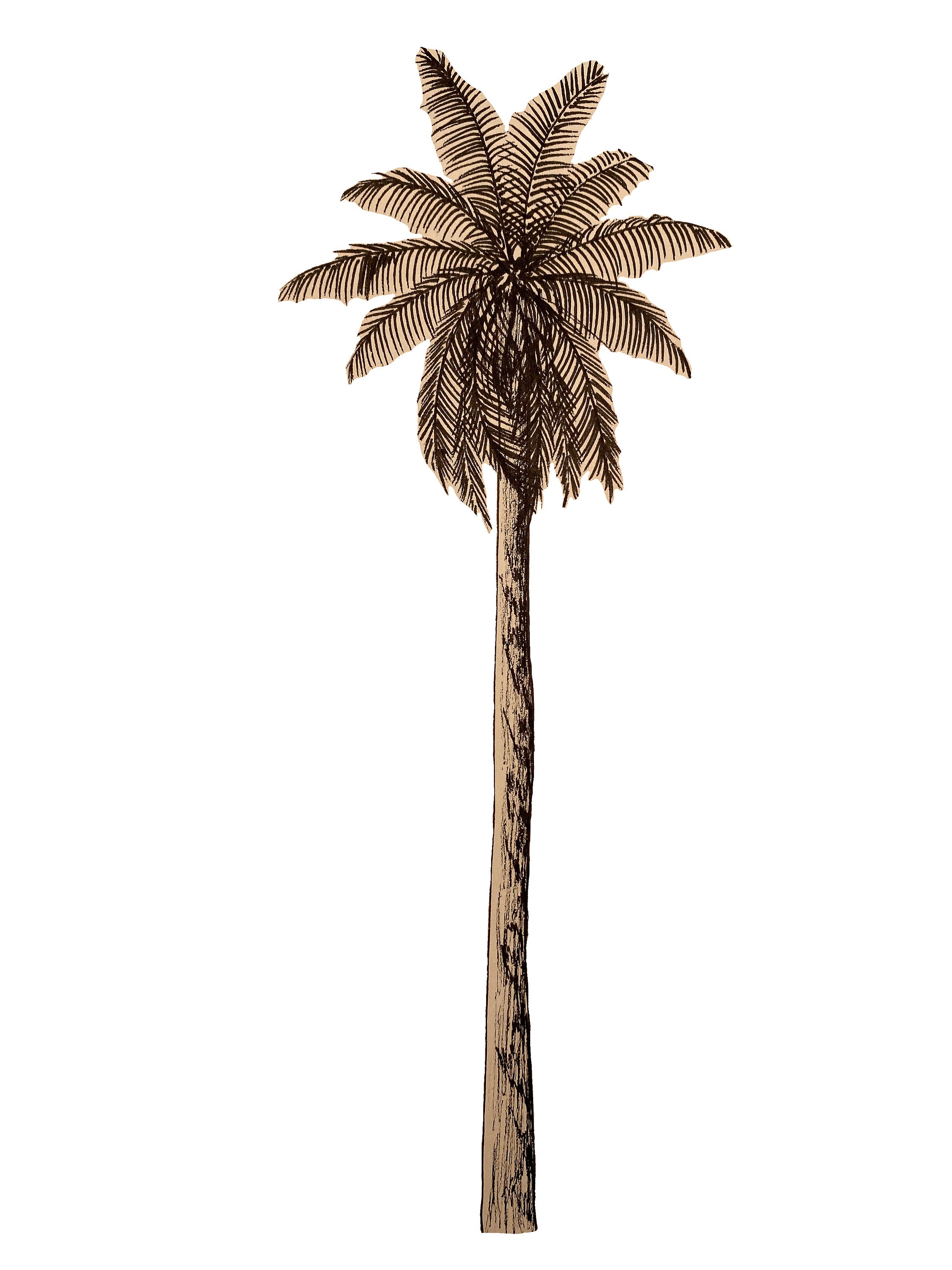 Vertical Wall Art Palm Tree Print Digital Print Palm Tree Print Wall