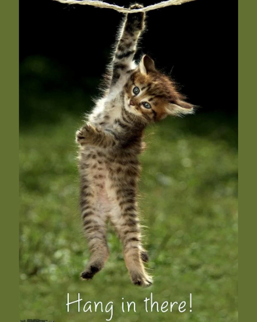 Cat - Hang in There / Encouragement / 22" X 34" - Etsy