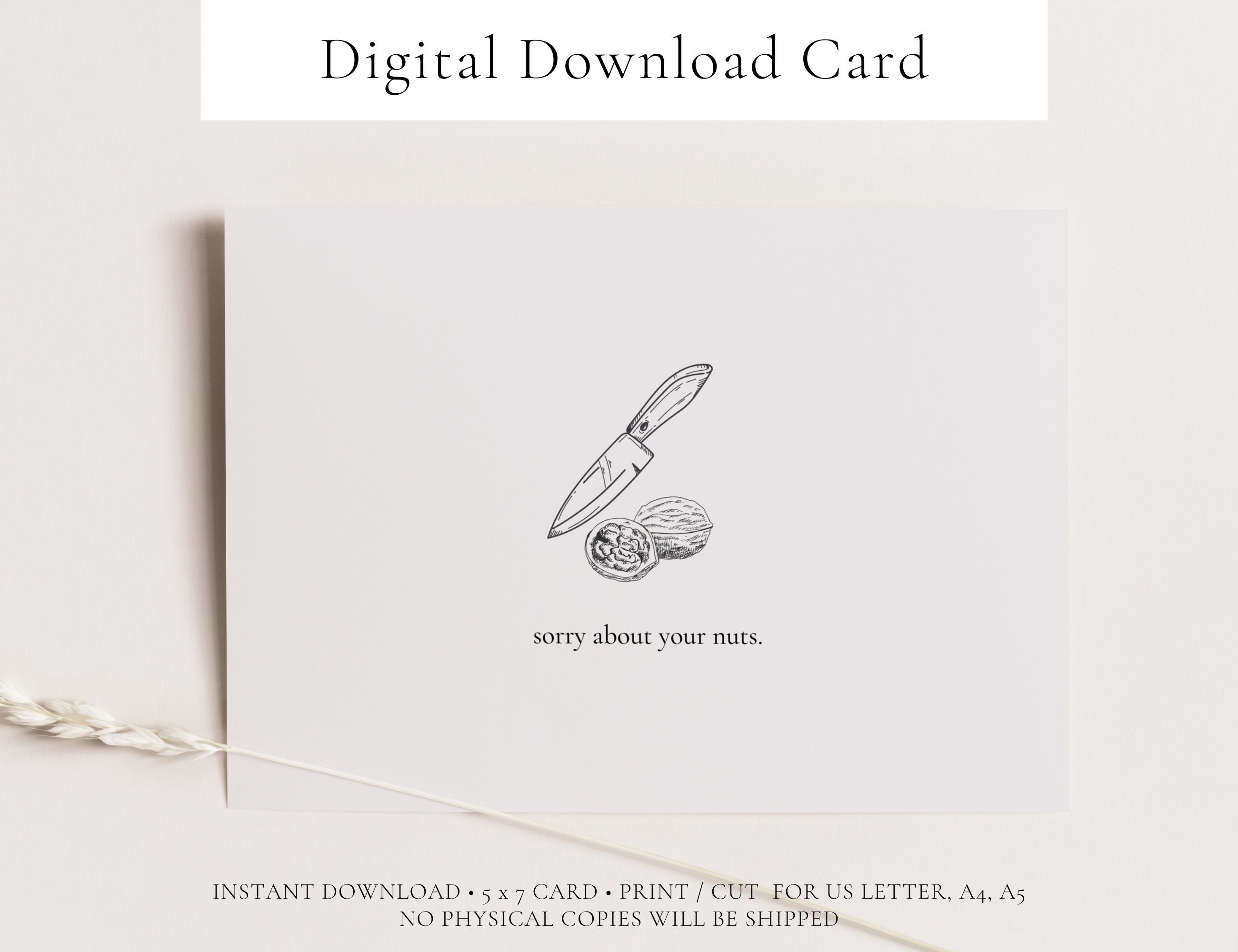 Vasectomy Card, Sorry About Your Nuts, Printable Vasectomy Card ...