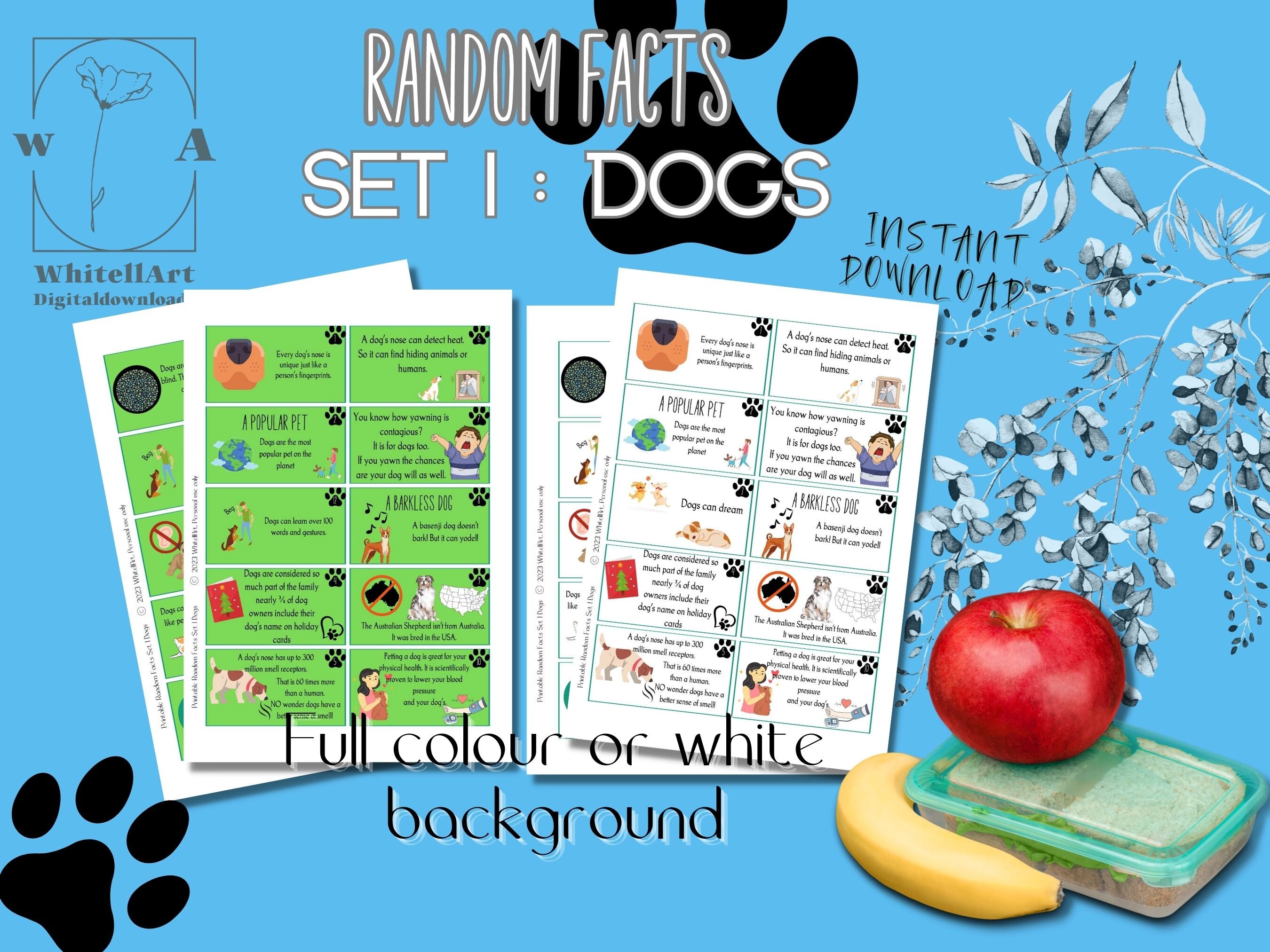 Random Facts Card Printable, Instant Download, Lunchbox Notes, Set 1 ...