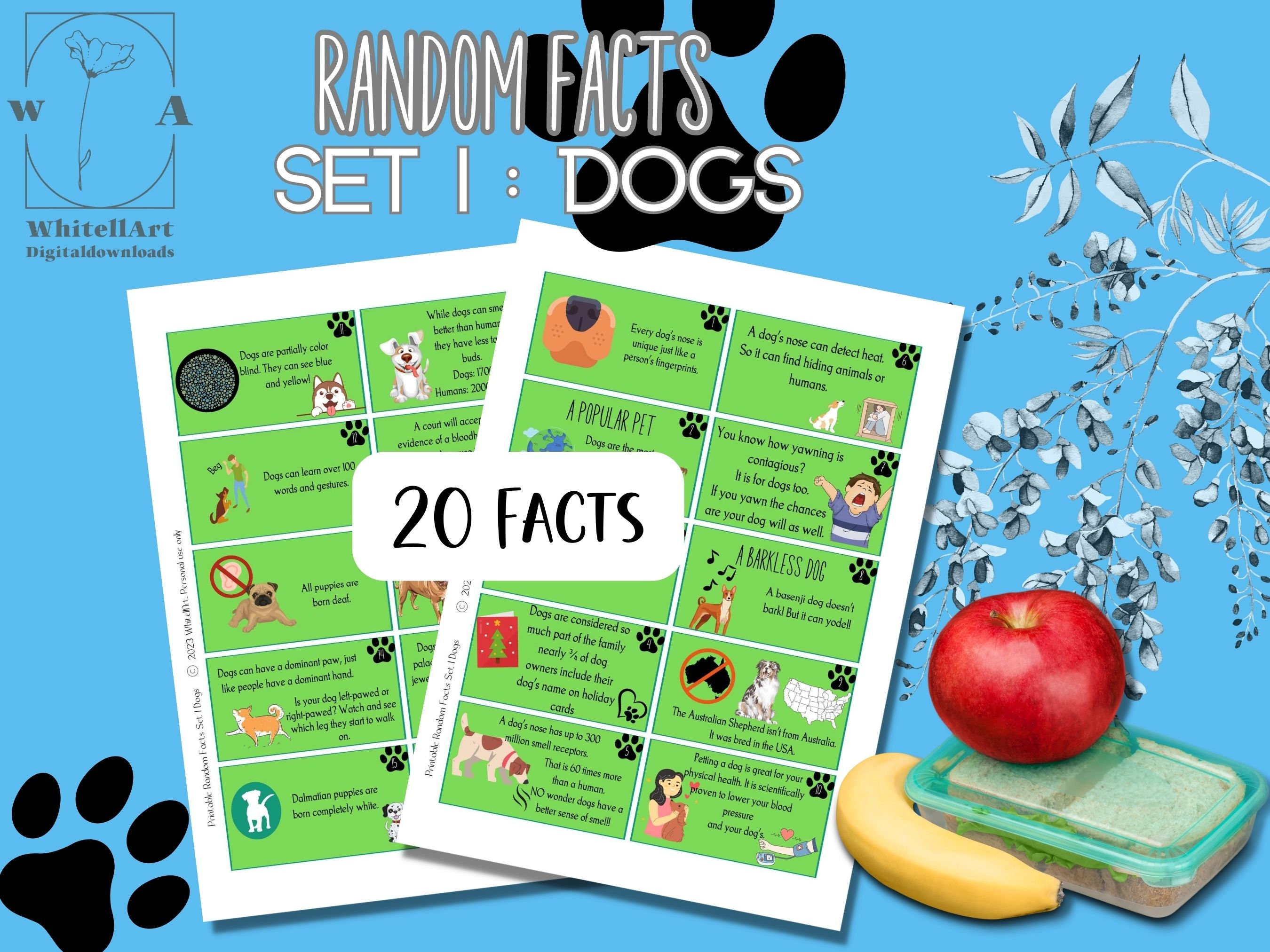 Random Facts Card Printable, Instant Download, Lunchbox Notes, Set 1 ...