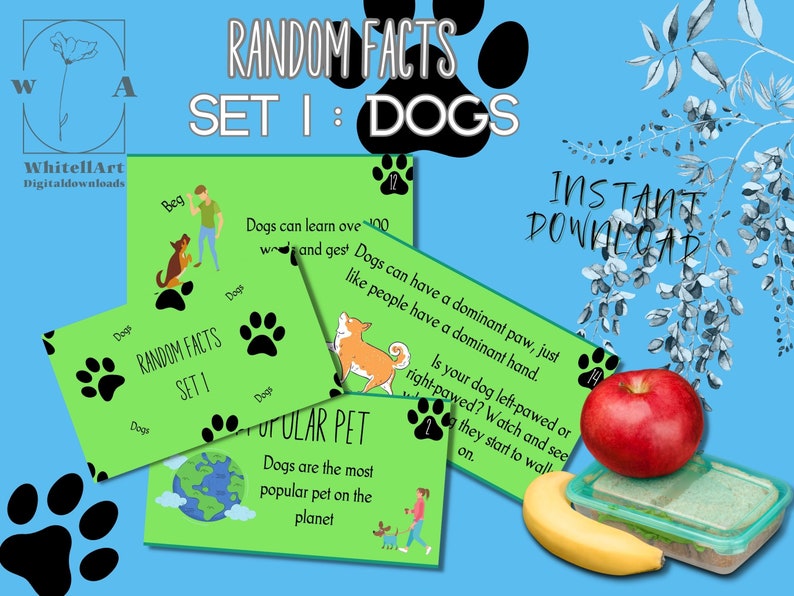 Random Facts Card Printable Instant Download Lunchbox Notes - Etsy