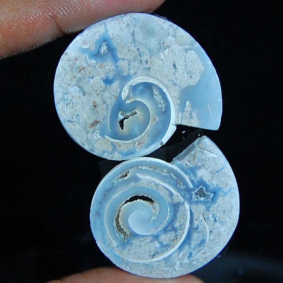 ON SALE Natural Shell Druzy, Opalized Druzy, Fossilized Shell, Druzy ...