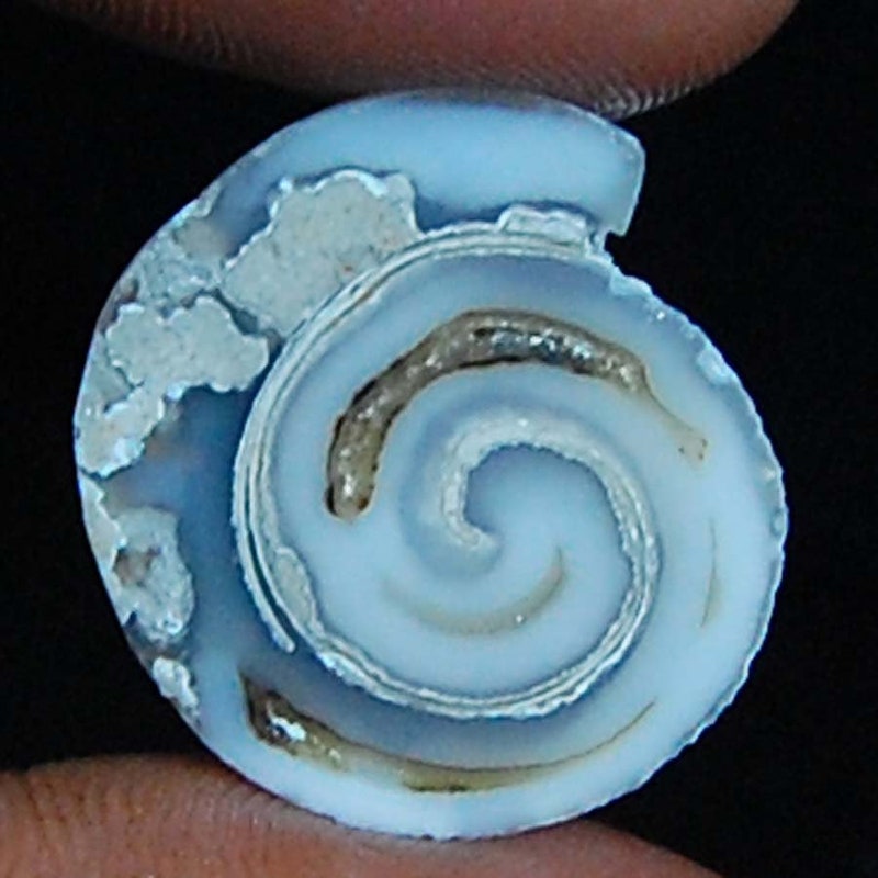 Fossil Stone - Etsy