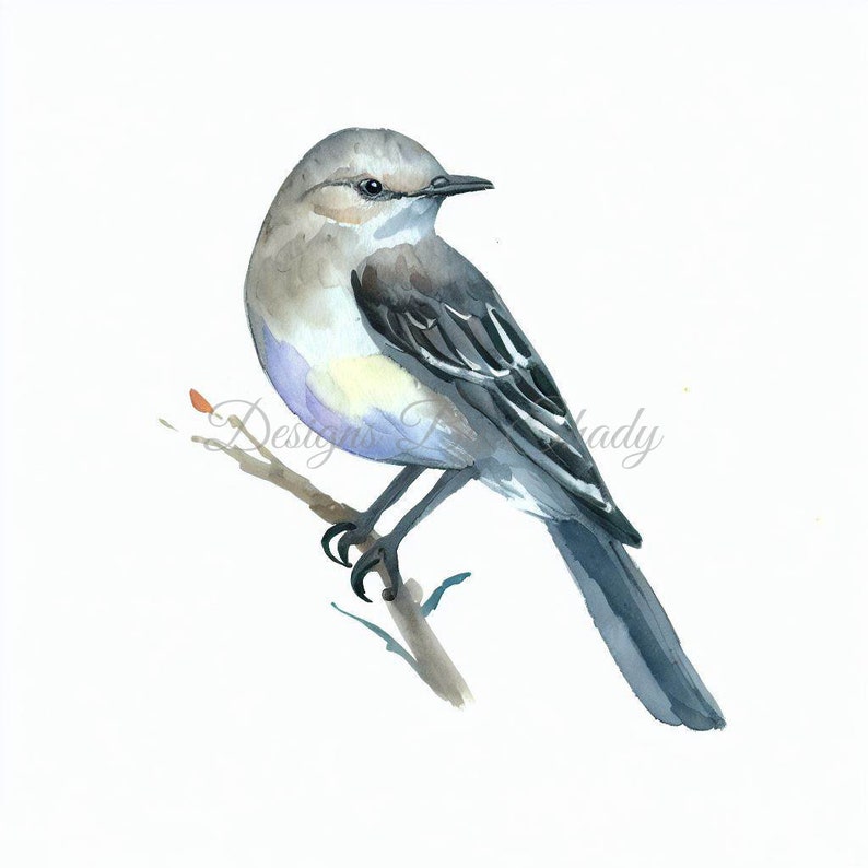 20 Mockingbird Clipart Pngs Stickers Commercial Use Digital - Etsy