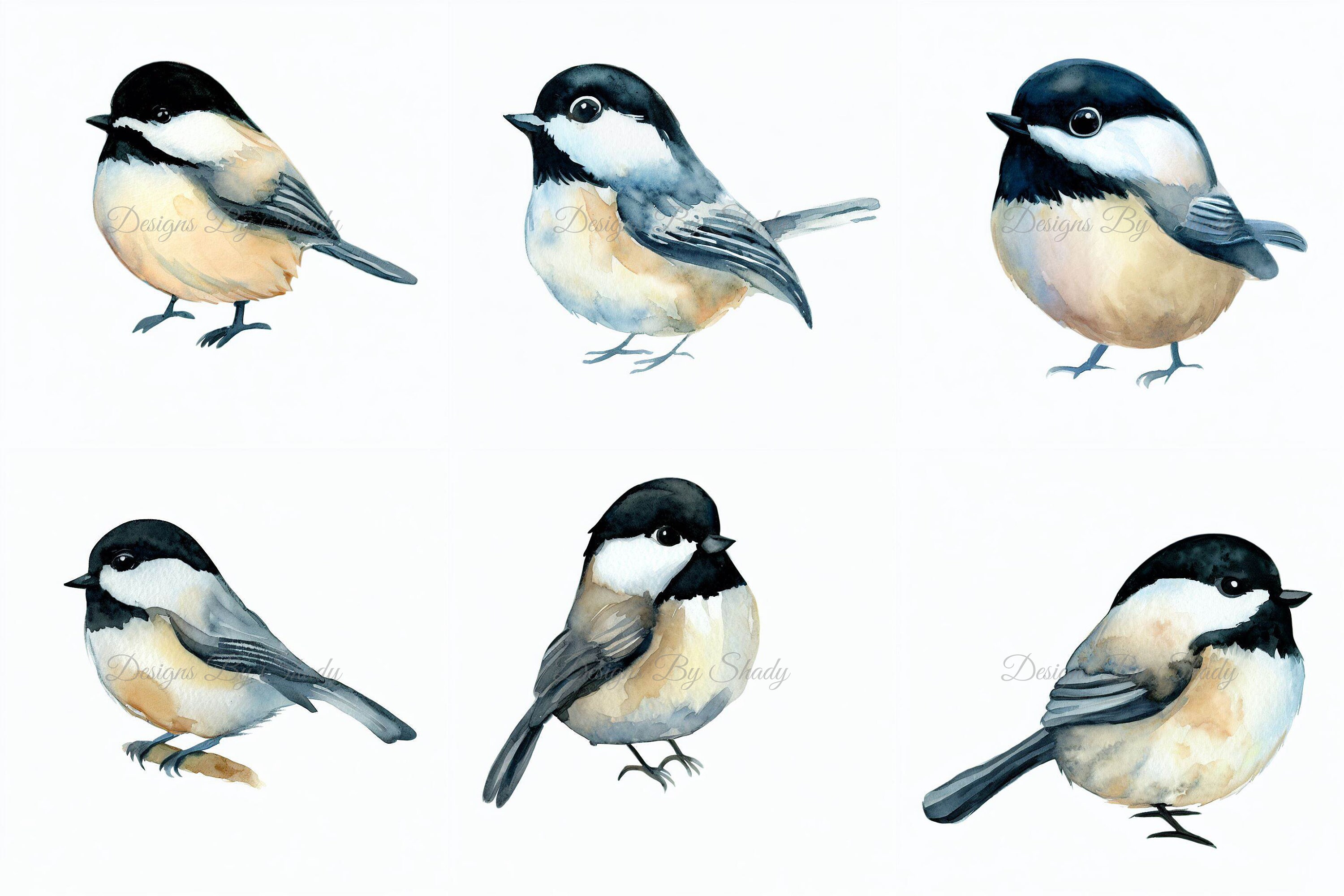 20 Chickadee Clipart Pngs Stickers, Commercial Use Digital Download ...