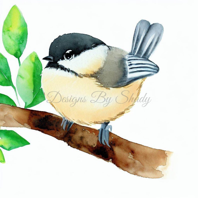 14 Baby Chickadee Clipart Pngs, Commercial Use Digital Download, Mixed ...