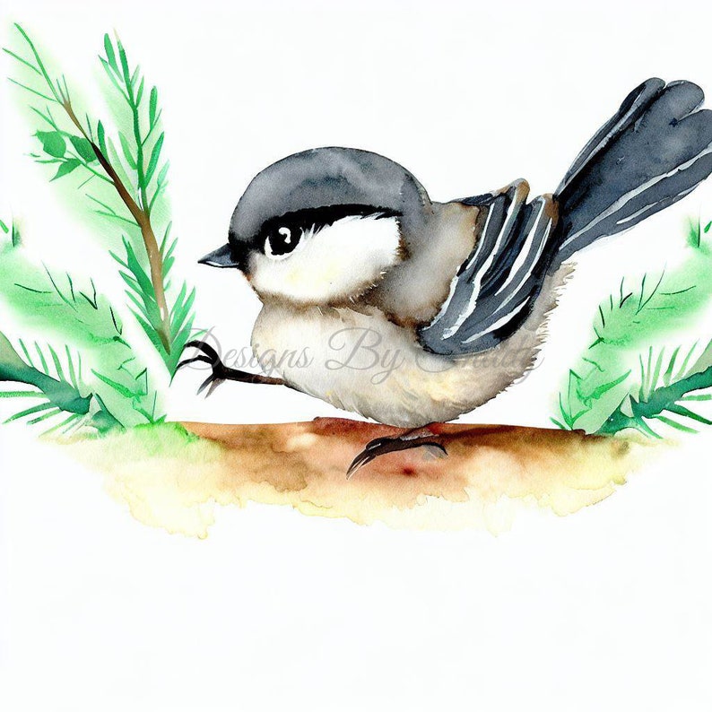 14 Baby Chickadee Clipart Pngs, Commercial Use Digital Download, Mixed ...