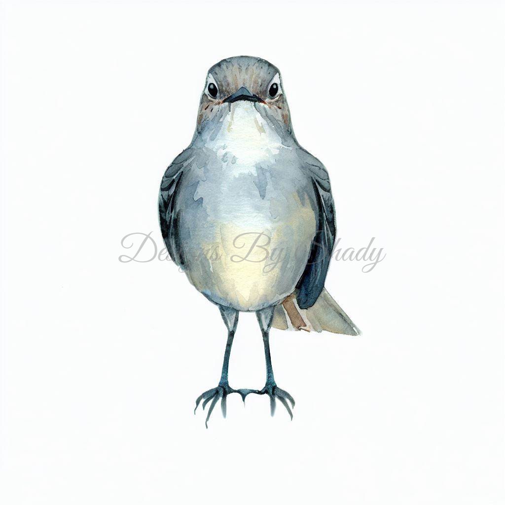 20 Mockingbird Clipart Pngs Stickers, Commercial Use Digital Download ...