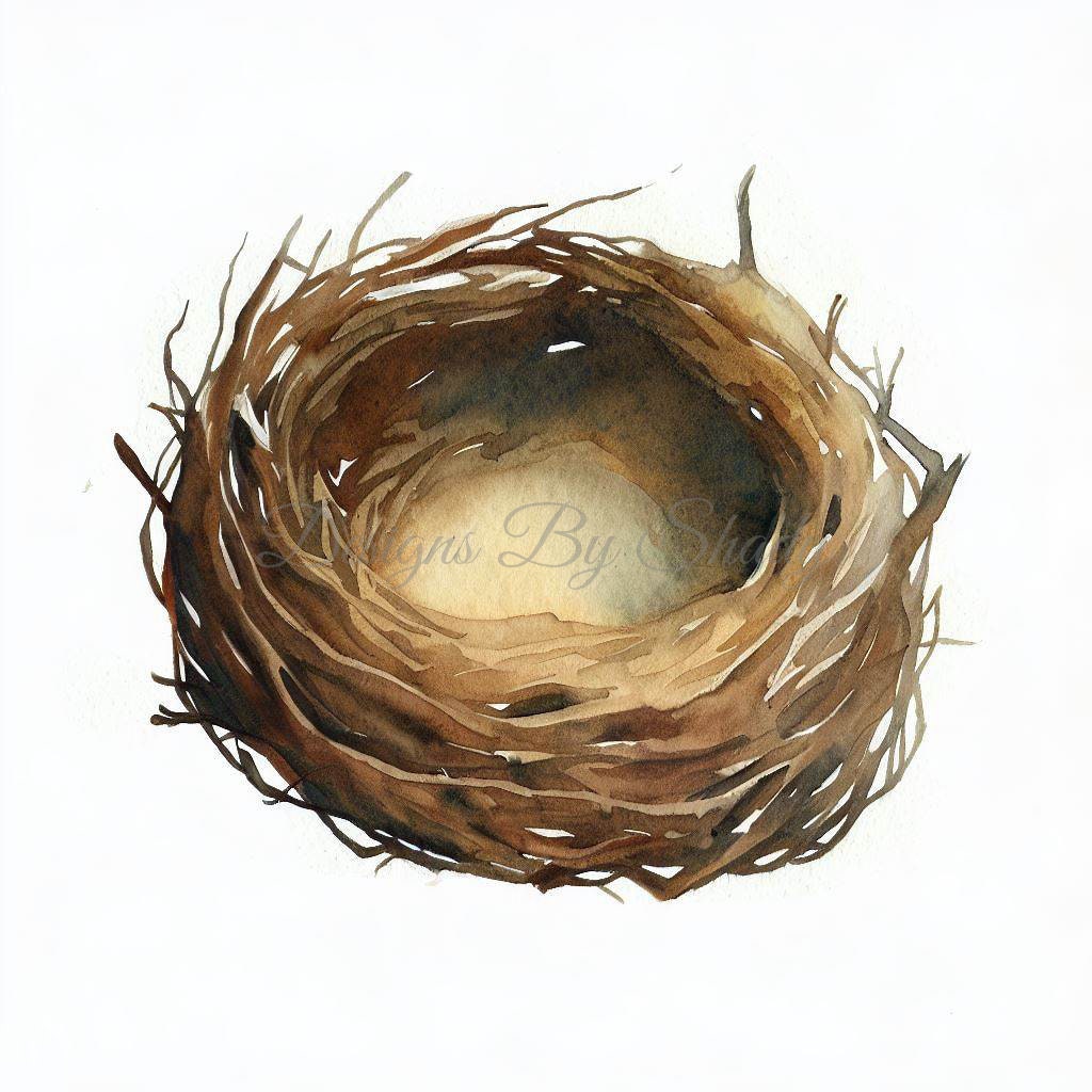 8 Bird Nest Clipart Pngs - Etsy