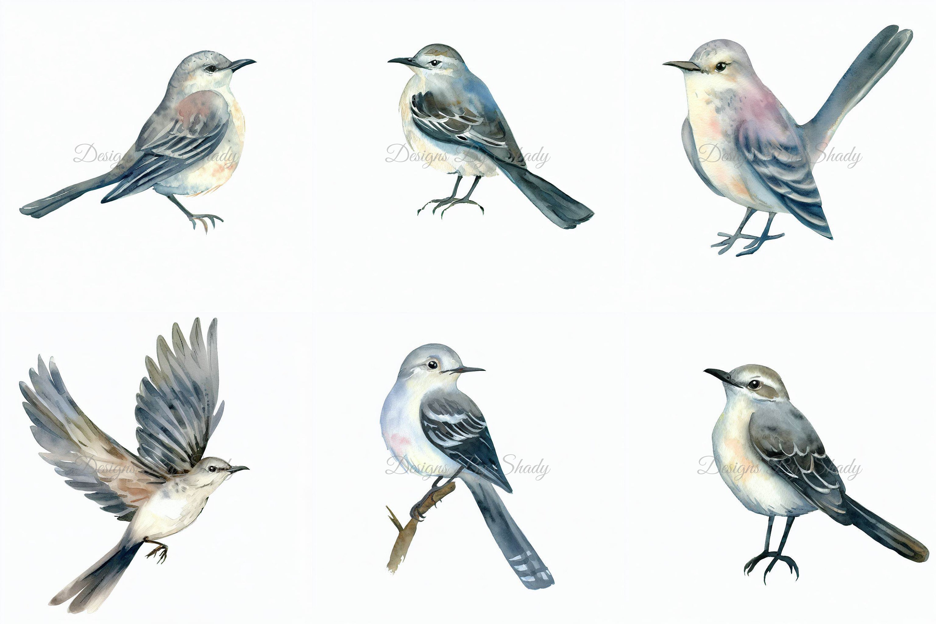 20 Mockingbird Clipart Pngs Stickers, Commercial Use Digital Download ...